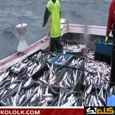 طرق ووسائل صيد الأسماك